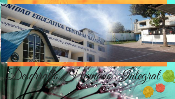 Semana 18.Toma de decisiones