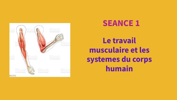 A3 activité physique