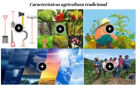Características-Agricultura Tradicional