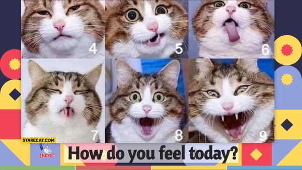 9th A Oct 5th, 2021 Classes