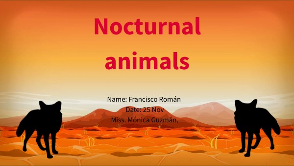 NOCTURNAL ANIMALS