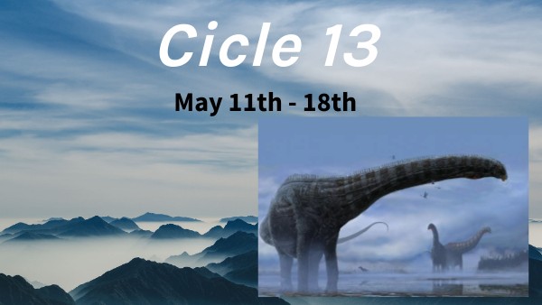 cycle 13