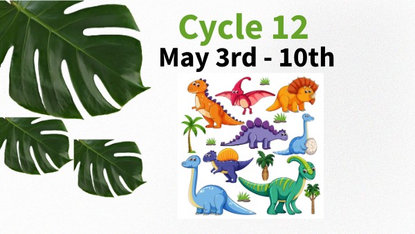 CYCLE 12