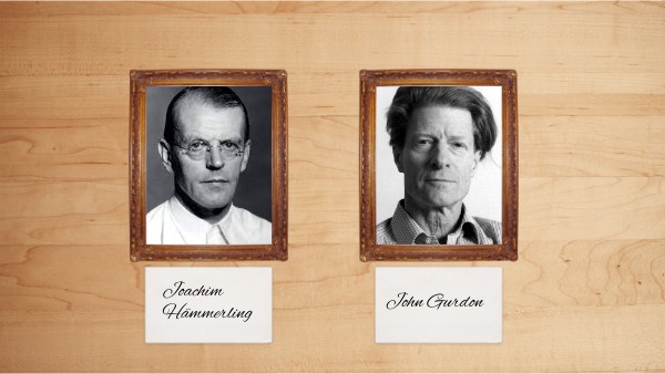 Material genético | Genially