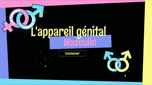 L'appareil génital masculin | Genially