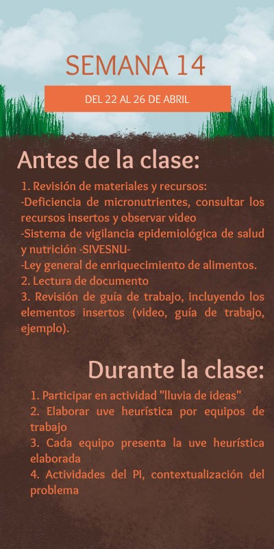 Ruta semana 14 | Genially