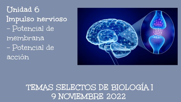 Unidad 6 Impulso nervioso. | Genially