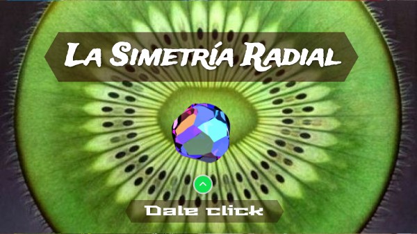 Simetría Radial.1o- 2o. PR2021