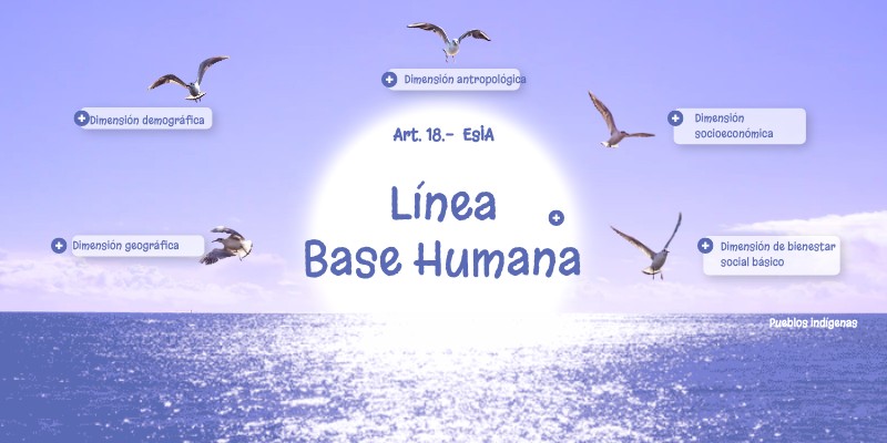 Línea Base Humana | Genially