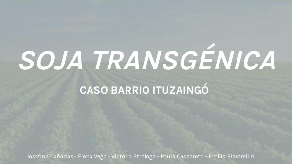 PRESENTACIÓN SOJA TRANSGENICA | Genially