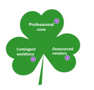 The Shamrock organization | Genially