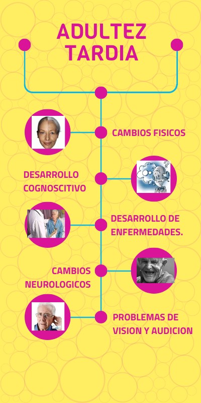 CAMBIOS DE LA ADULTEZ TARDIA