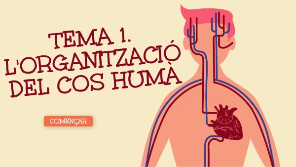 T1. L'organització del cos humà