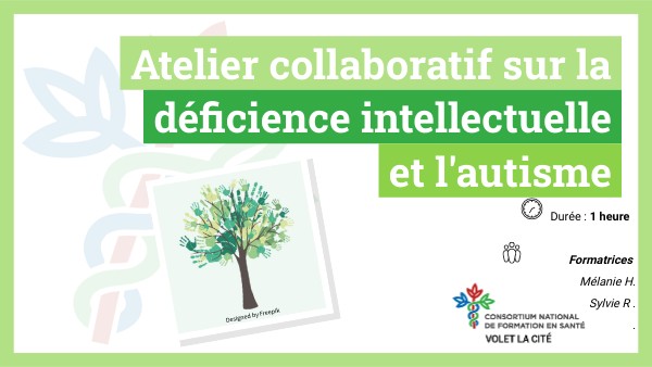 Atelier : Interventions auprès de personnes ayant un handicap | Genially
