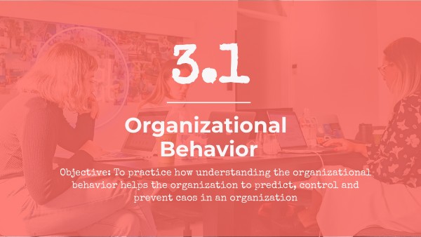 3.1 HR - Individual Behavior | Genially