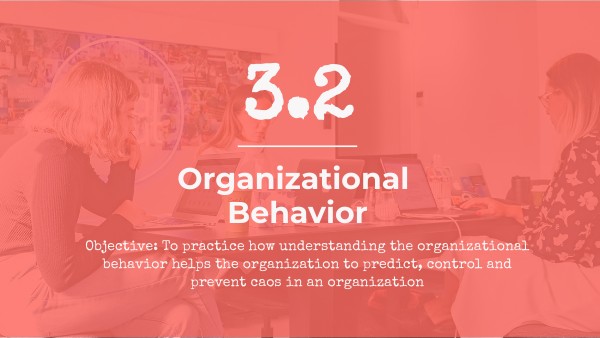 3.2 HR - Group Behavior | Genially