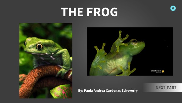 The frog | Genially