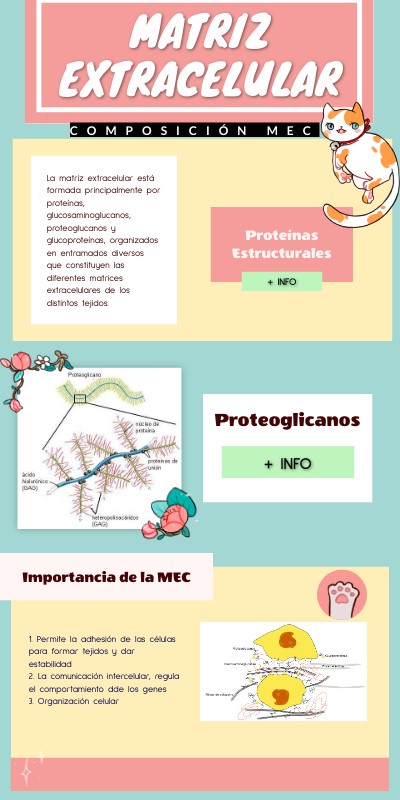 Composición de la MEC