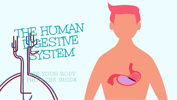 DIGESTIVE SYSTEM | Genially
