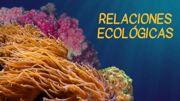 Relaciones ecológicas | Genially