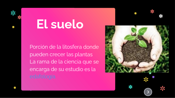 El suelo | Genially