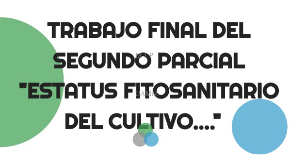 PROYECTO FINAL 2 PARCIAL | Genially