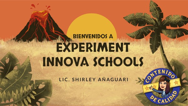 IP 2021 - EXPERIMENT