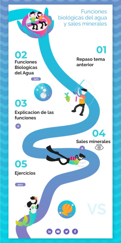 Funciones biológicas del agua y sales minerales | Genially