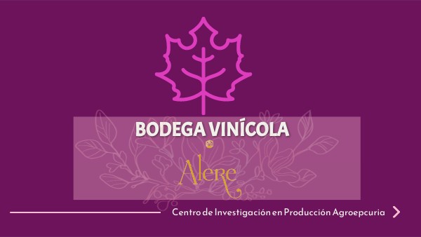 VISITAS BODEGA VITIVINICOLA ALERE | Genially