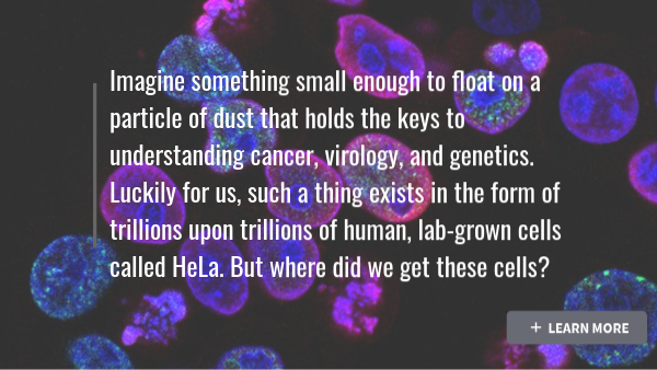 Henrietta Lacks' Immortal Cells | Genially