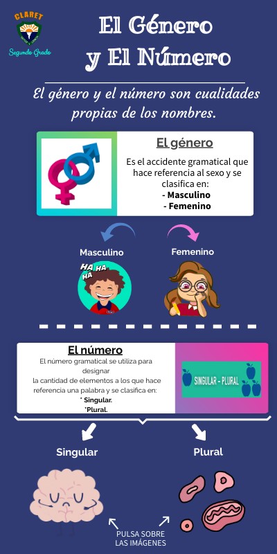El género y El número | Genially