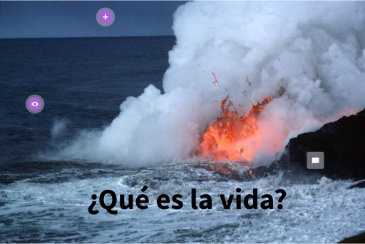 Concepto de vida
