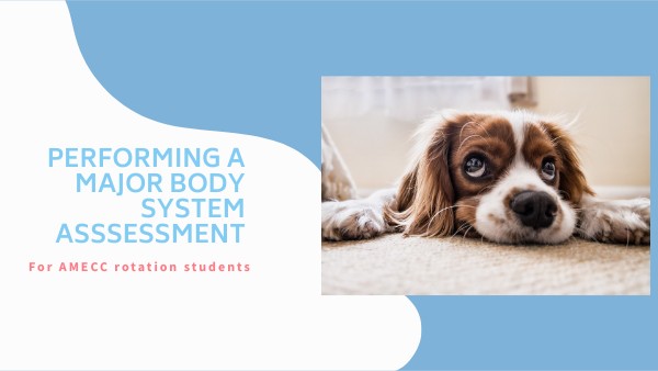 Major body system assessment