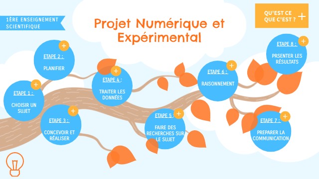 1ES Projet numérique et expérimental | Genially
