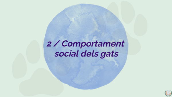 TEMA 2 Comportament CAT | Genially