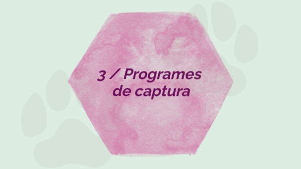 TEMA 3 Captura CAT | Genially