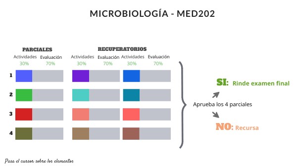 Micro U calificaciones | Genially