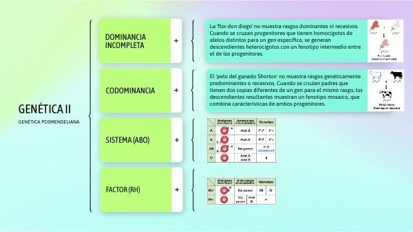 Esquema (E2) III trim. 2023