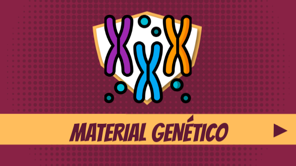 MATERIAL GENÉTICO | Genially