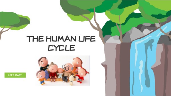 THE HUMAN LIFE CYCLE | Genially