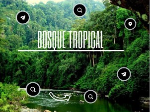 Bosque Tropical interactivo | Genially
