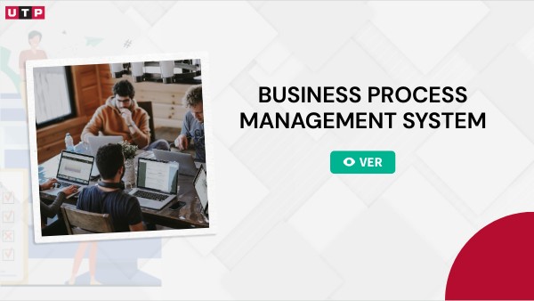 BUSINESS PROCESS MANAGEMENT SYSTEM