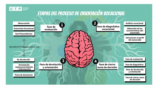 Etapas del proceso de orientación vocacional | Genially