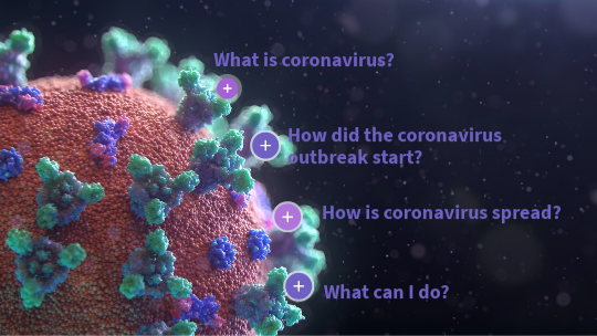 What is coronavirus? | Genially