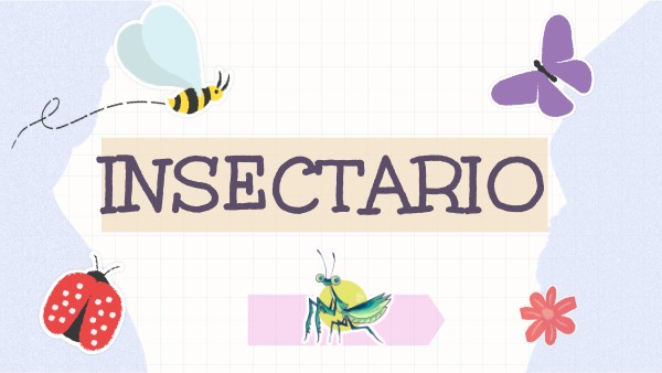 S1 Insectario | Genially