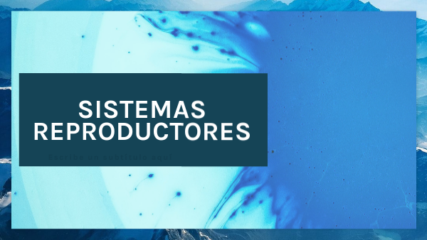 Sistema reproductor | Genially