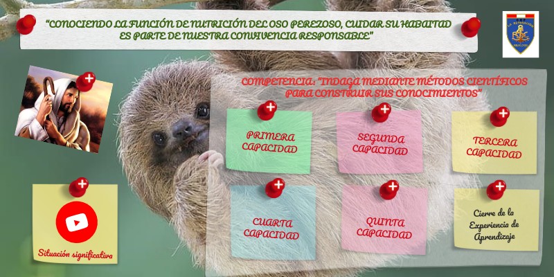 2DO - 3RA EXP. - 1ER BIMESTRE