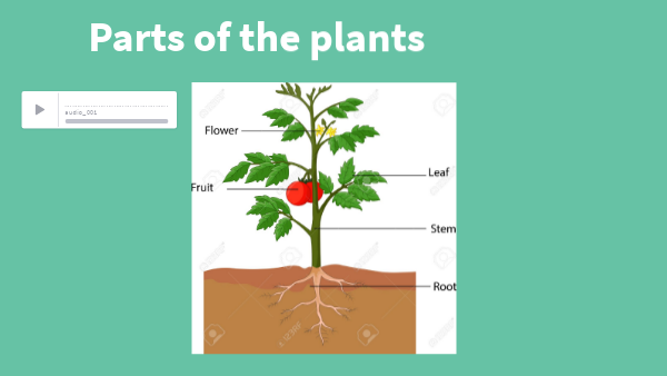 parts of plants | Genially