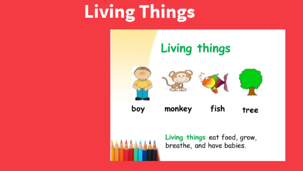 Living things