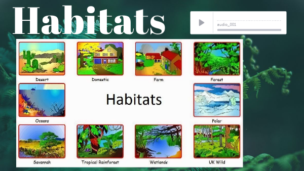 the forest | Genially